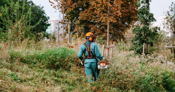Halage – Les Canaux